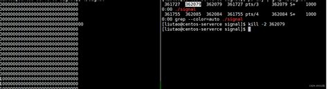 Linux信号捕捉linux Sigaction Coredump Csdn博客
