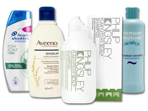 Itchy Scalp And Hair Loss Reveal The Relation Laylahair