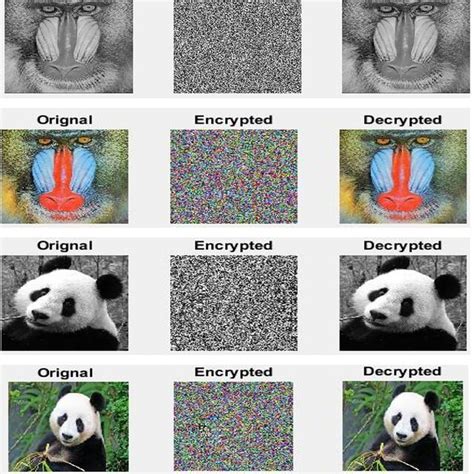 Encrypted Process Using The Proposed Method Download Scientific Diagram