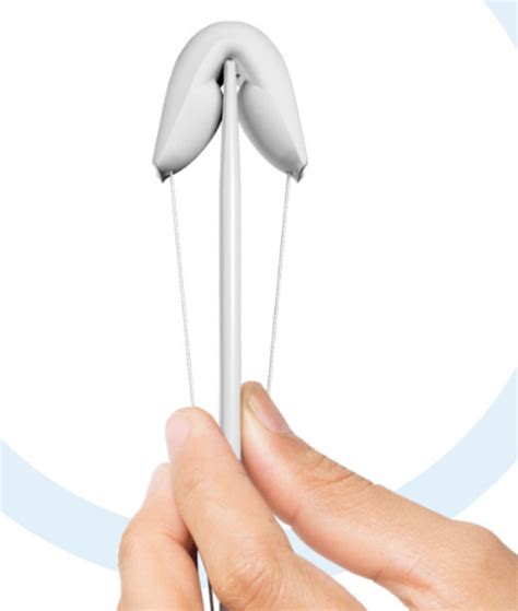 Bladder Support Pessaries How Do They Work Physiopilates Ltd