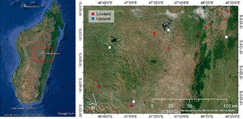 Figure 1 From Vis Nir Spectroscopy And Pls Regression With Waveband Selection For Estimating The