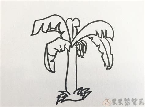 香蕉树简笔画卡通画香蕉树简笔画树叶香蕉树卡通简笔画大山谷图库