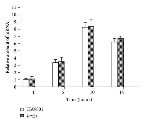 Analysis Of The Profile Of Luxs And Pfs Transcription In The Different
