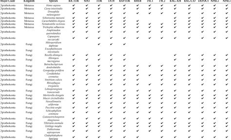 Appearance Of Target Of Rapamycin Tor Signaling Components Among Download Table