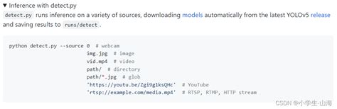 yolov5 detect py文件终端代码使用详解 python detect py csdn博客