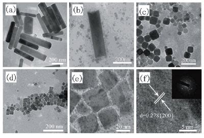 American Scientific Publishers