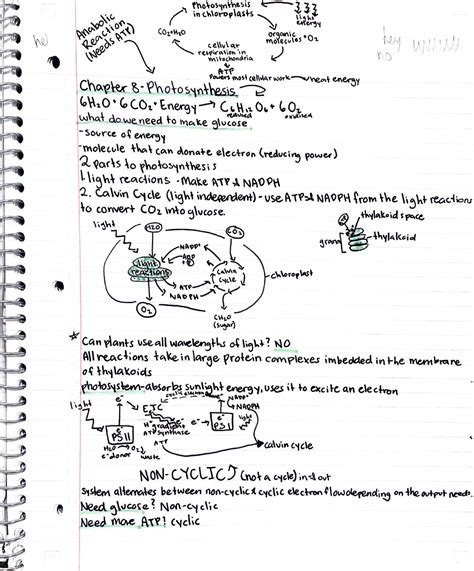 AP Bio Chapters Studocu