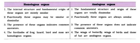 Explain The Terms Analogous And Homologous Organs With Examples Explain The Terms Analogous And Homologous Organs With Examples