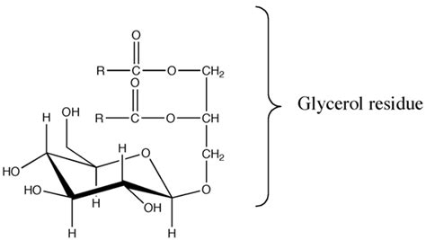 Typical Structure Of A Glycerolipid Download Scientific Diagram