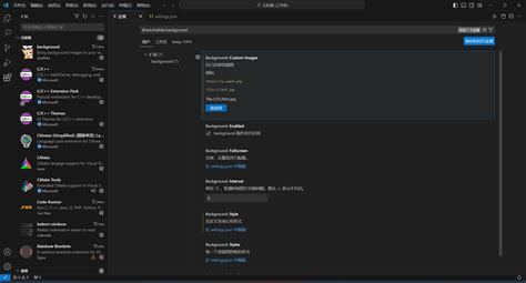 VSCode 新手入门第三弹 部分美化插件设置 夕落林中 博客园