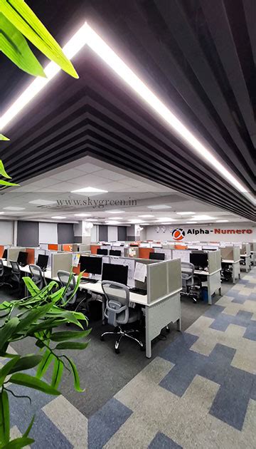 Alpha Numero It Company Motera Ahmedabad Skygreen Interior