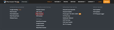 how to detect injection flaws with pentest pentest tools
