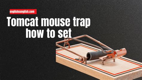 Tomcat Mouse Trap How To Set English Saga
