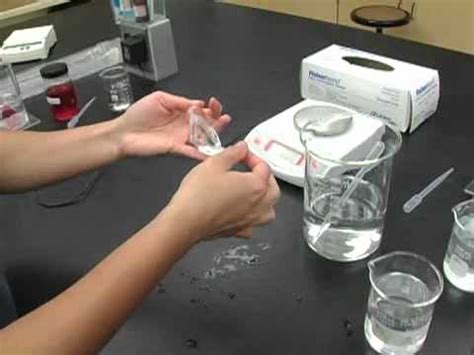 Hargrow Homeschool Lab Diffusion And Osmosis Iodine Starch Experiment With Bag Science