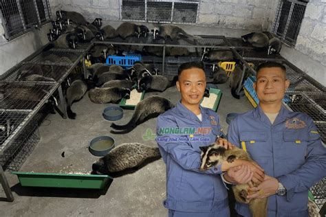 Con Don H Nh Nh M H Nh Nh Con Don Nonglam Net