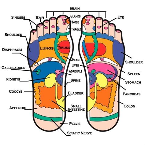 Rub Her Feet Women With Daily Foot Rubs Are Healthier Says Science