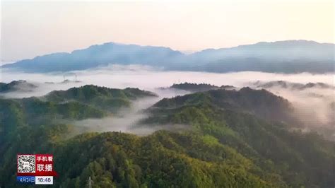 保护生物多样性构建人与自然和谐共生的地球家园 腾讯视频