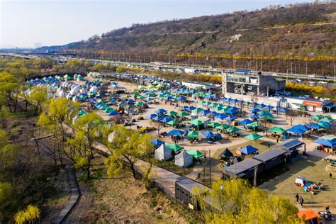 가성비와 가심비 모두 잡는 서울 근교 캠핑장