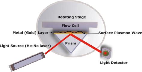 The Experiment Setup Download Scientific Diagram