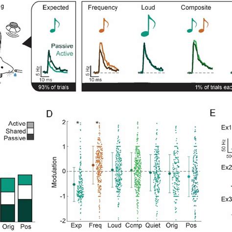 Non Overlapping Prediction Error Neurons Reflect A Learned Expectation