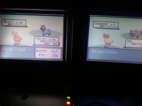 Shiny Torchic Pokémon Amino