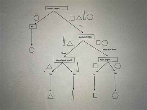 Construct A Dichotomous Key Using The Example Below Chegg Com