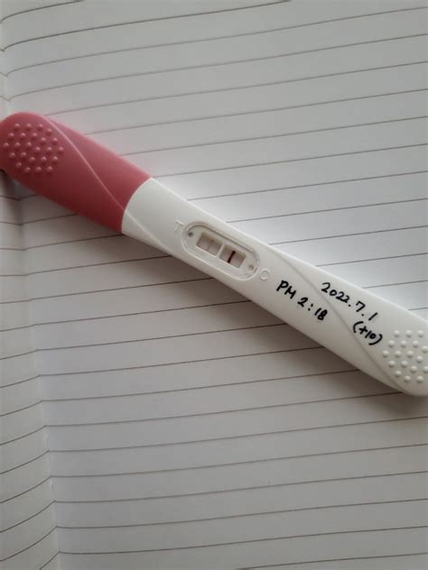 배란 10일차 임신 확인임신 극초기 증상 임신 3주차 증상 네이버 블로그