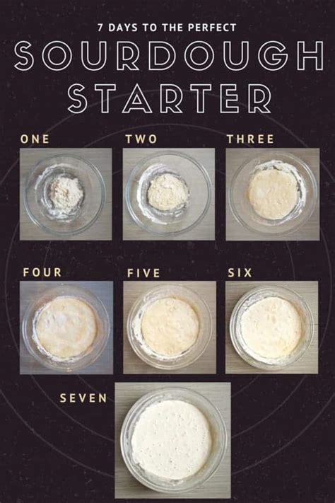 How To Make A Sourdough Starter Smart Nutrition