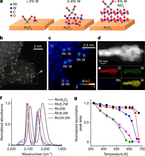 单原子登顶今日nature！双功能活性对位点，助力工业加氢甲酰化 知乎