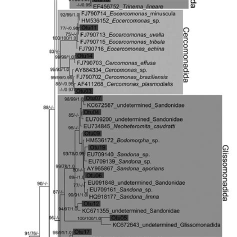 Minimum Evolution Tree Based On 18s Rdna Sequence Data And Calculated