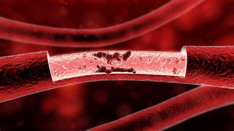 科研绘图 算筹科技