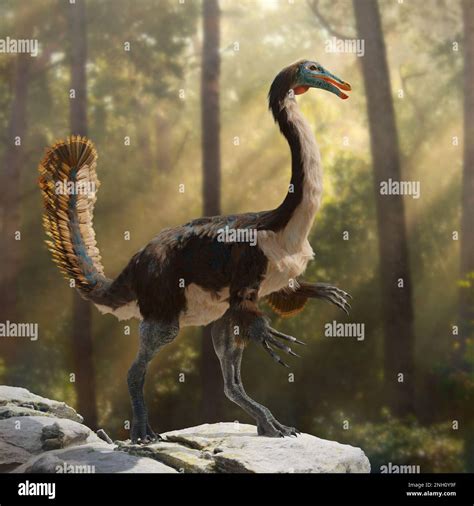 Gallimimus Feathered Theropod Dinosaur That Lived During The Late