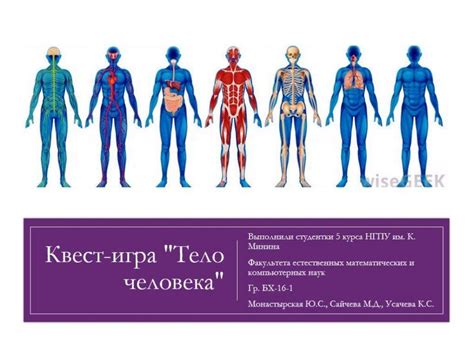 Тело человека презентация онлайн