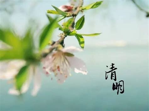 新詩採擷唐碩清明節組詩外三首 每日頭條