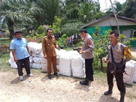 Mengungkap Fakta Terbaru Tidak Ditemukan Produksi Arang Kayu Bakau Di Langkat