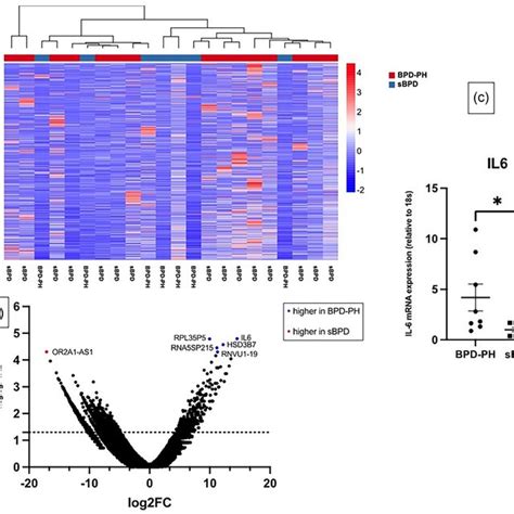 A Transcriptomic Analysis Of Tracheal Aspirates Heatmap Of Rna‐seq