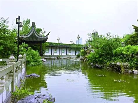 泰 美看新媒体人镜头诗歌里的泰州 我苏网