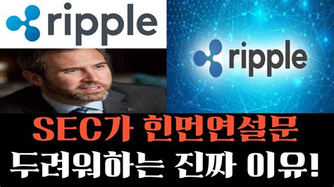 리플 코인 리플 급등 Sec가 힌먼연설문을 두려워하는 진짜 이유 단독공개 리플1000원 갈 강력한 호재가 될겁니다 리플목표가 리플호재 리플전망 리플코인