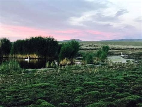 Нуурын шаварт биеэ эмчлэхээр орсон иргэн живж нас баржээ · Dorgio Mn