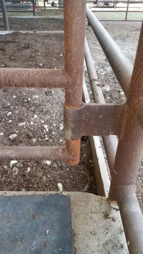 Breaking A Rust Bond TexasBowhunter Com Community Discussion Forums