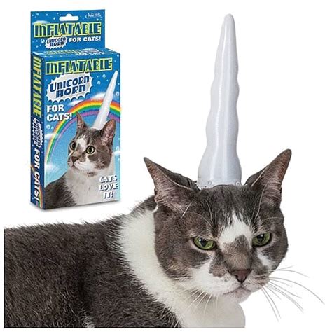 Transparency Transparent Gif WiffleGif