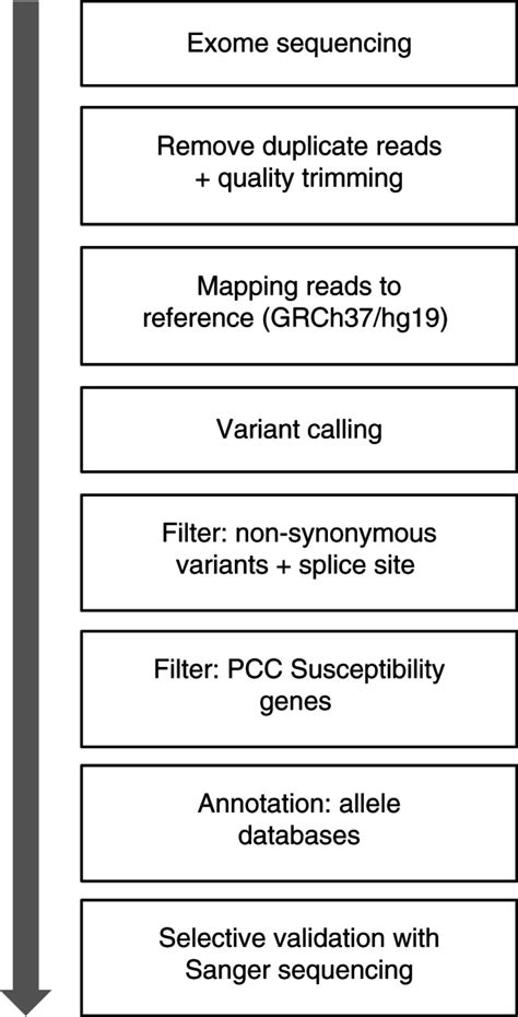Bioinformatics Pipeline For Analysis Of Exome Sequencing In The Download Scientific Diagram