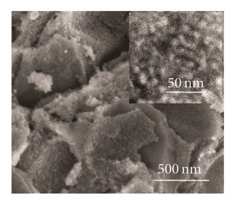 sem micrographs and edx spectra of the samples obtained through