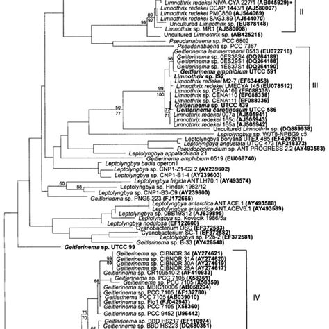 Maximum Likelihood Tree Generated From 16s Rrna Gene Sequence Data