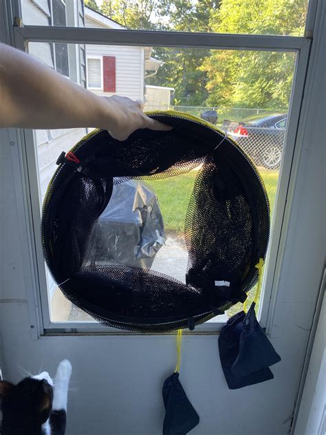 What To Fill These Gaps In With R Howto