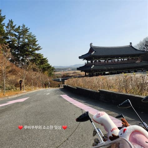롯데스카이힐부여cc 부여골프장 너무 예쁜곳 네이버 블로그