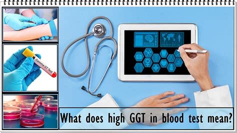 Ggt Blood Test Meaning Normal Range High Causes Youtube