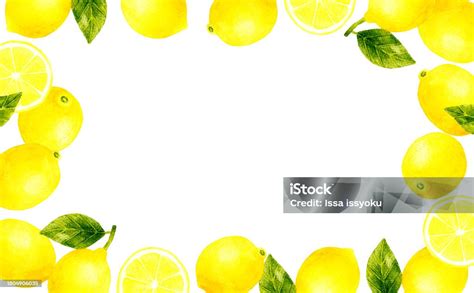 레몬 과일 배경입니다 과일의 손으로 그린 수채화 그림입니다 레몬 주스에 대한 스톡 벡터 아트 및 기타 이미지 레몬 주스 감귤류 과일 건강한 식생활 Istock