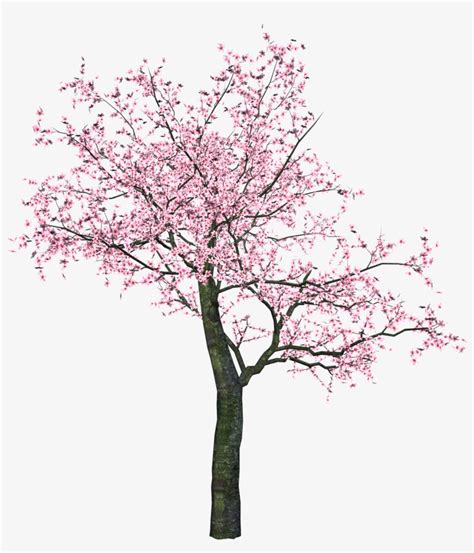 Free Spring Tree Cliparts Download Free Spring Tree Cliparts Png 3454208