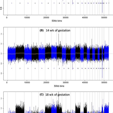 Whole Genome View Of Copy Number Gains And Losses In Plasma Of Pregnant